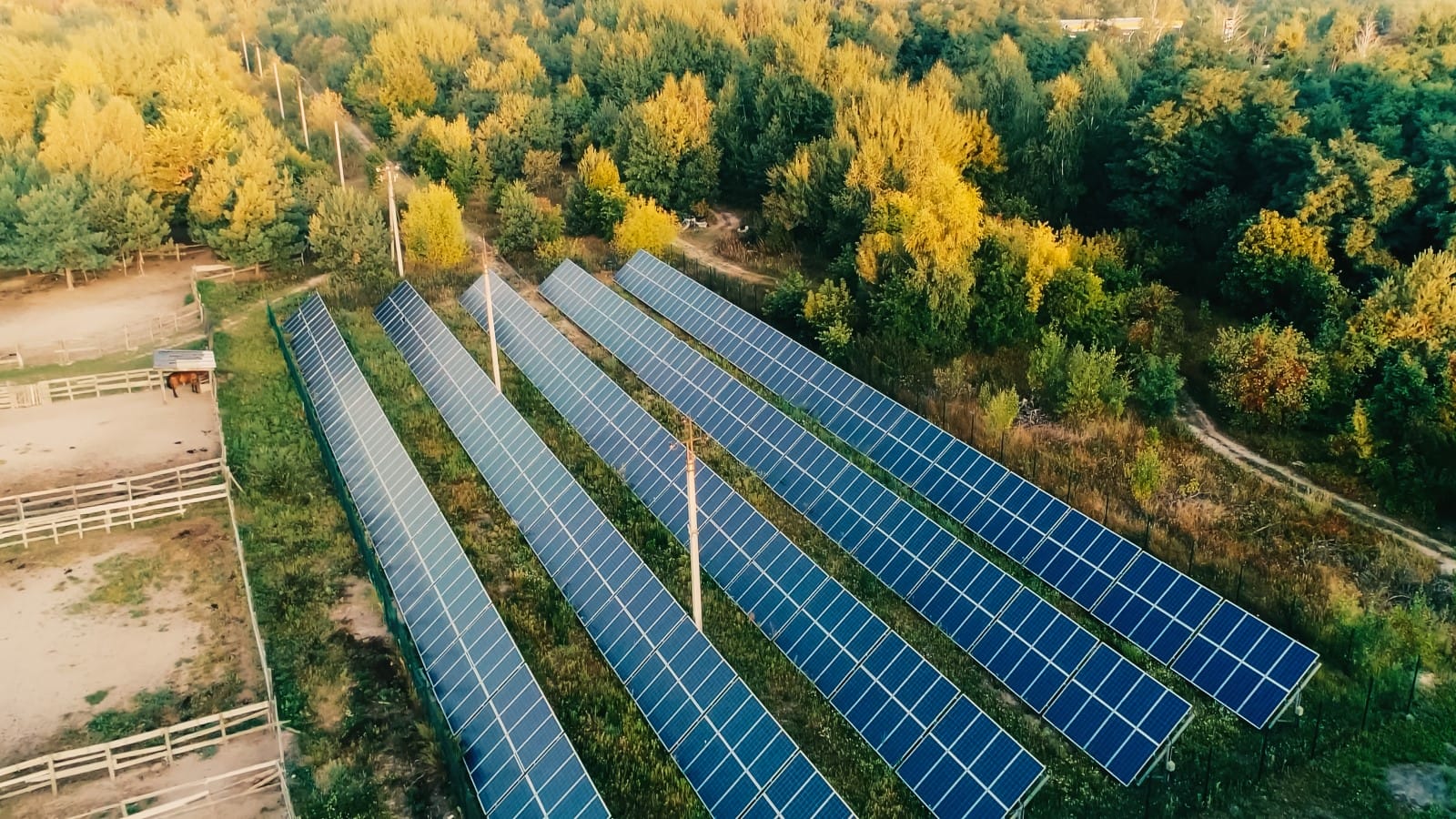 Solar Panels in Backyard: Your Complete Guide to Ground-Mounted Solar ...